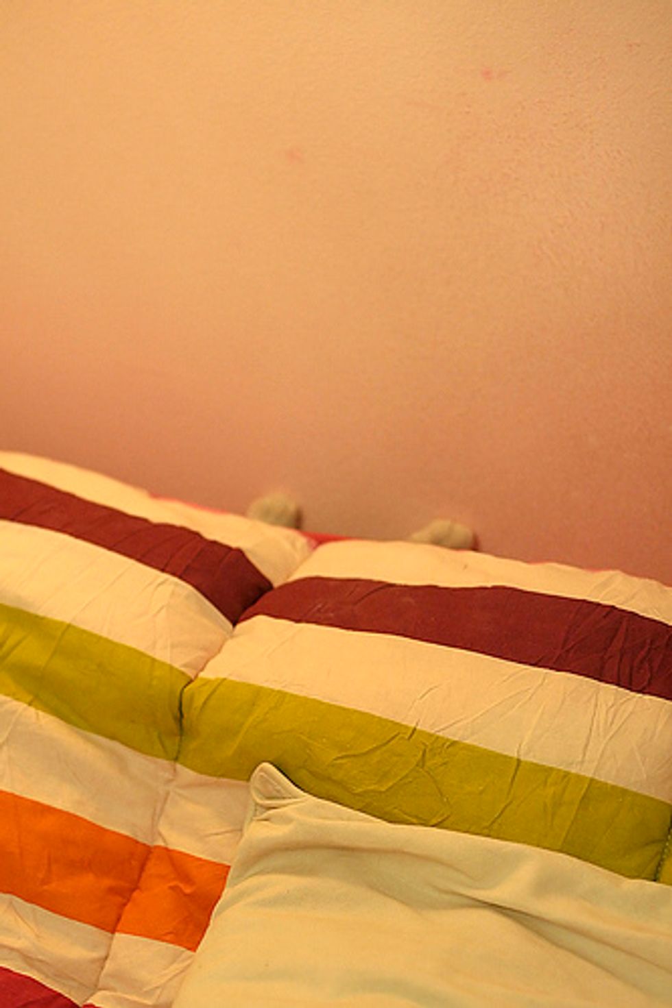 Romeo the Cat Lives Like a Little Prince - Love Meow