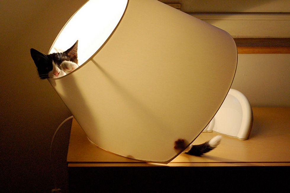 Pixel and Felix, the Tux Brothers - Love Meow