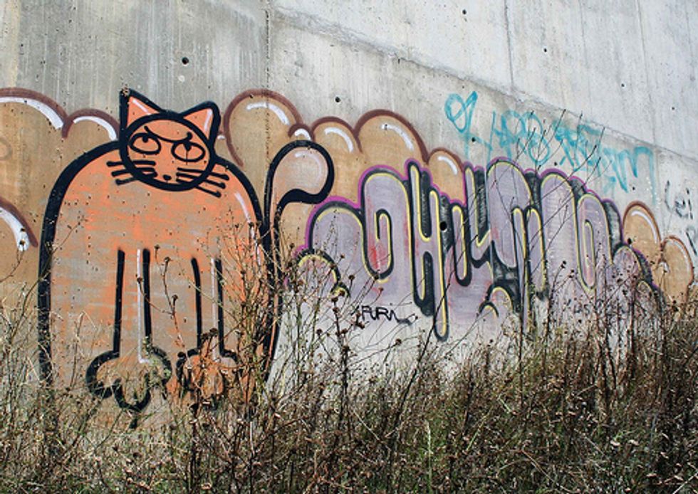 Cat Graffiti - Love Meow