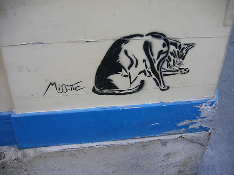 Cat Graffiti - Love Meow