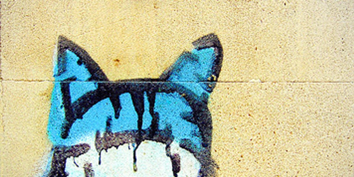 Cat Graffiti - Love Meow