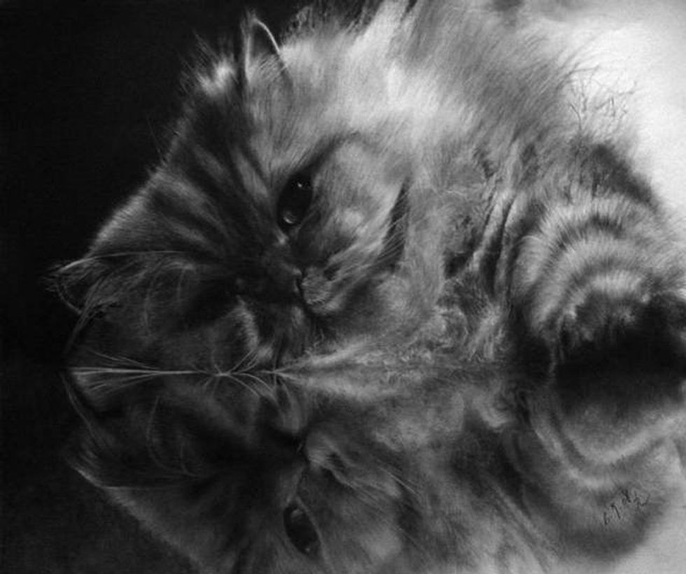 Amazing Pencil Drawings of Cats - Love Meow