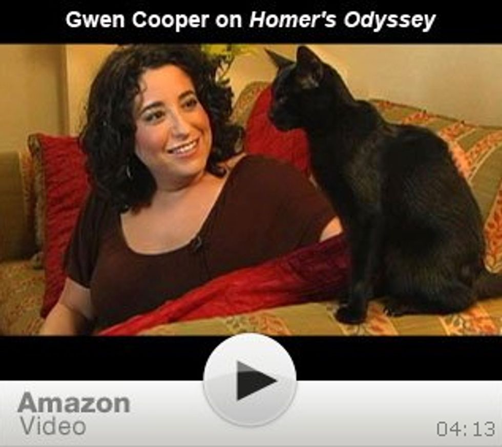 A Blind Cat, Homer and His Odyssey - Love Meow