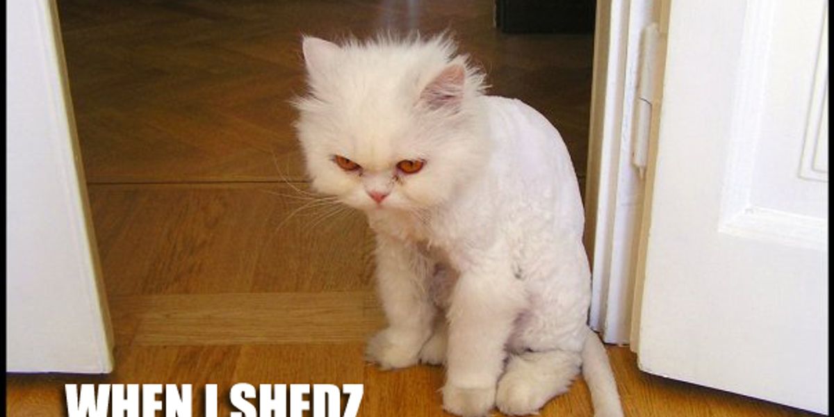 Add Lolcat Captions - Love Meow