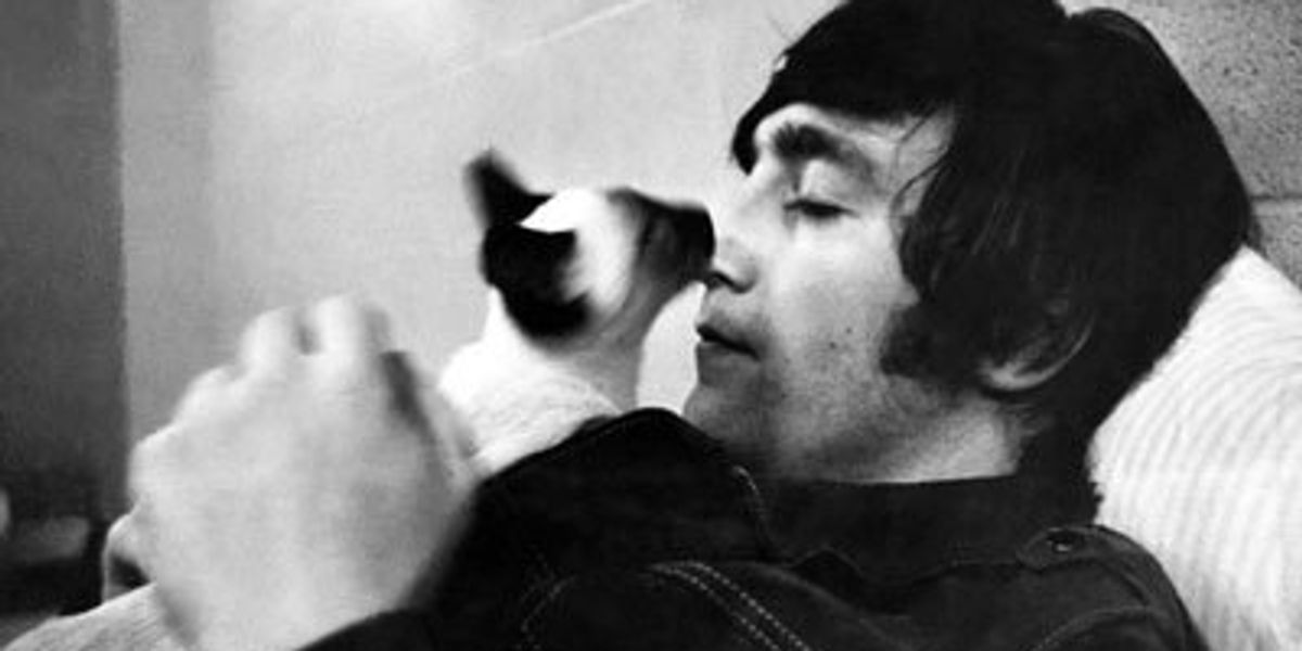 Famous People and Their Cats - Love Meow