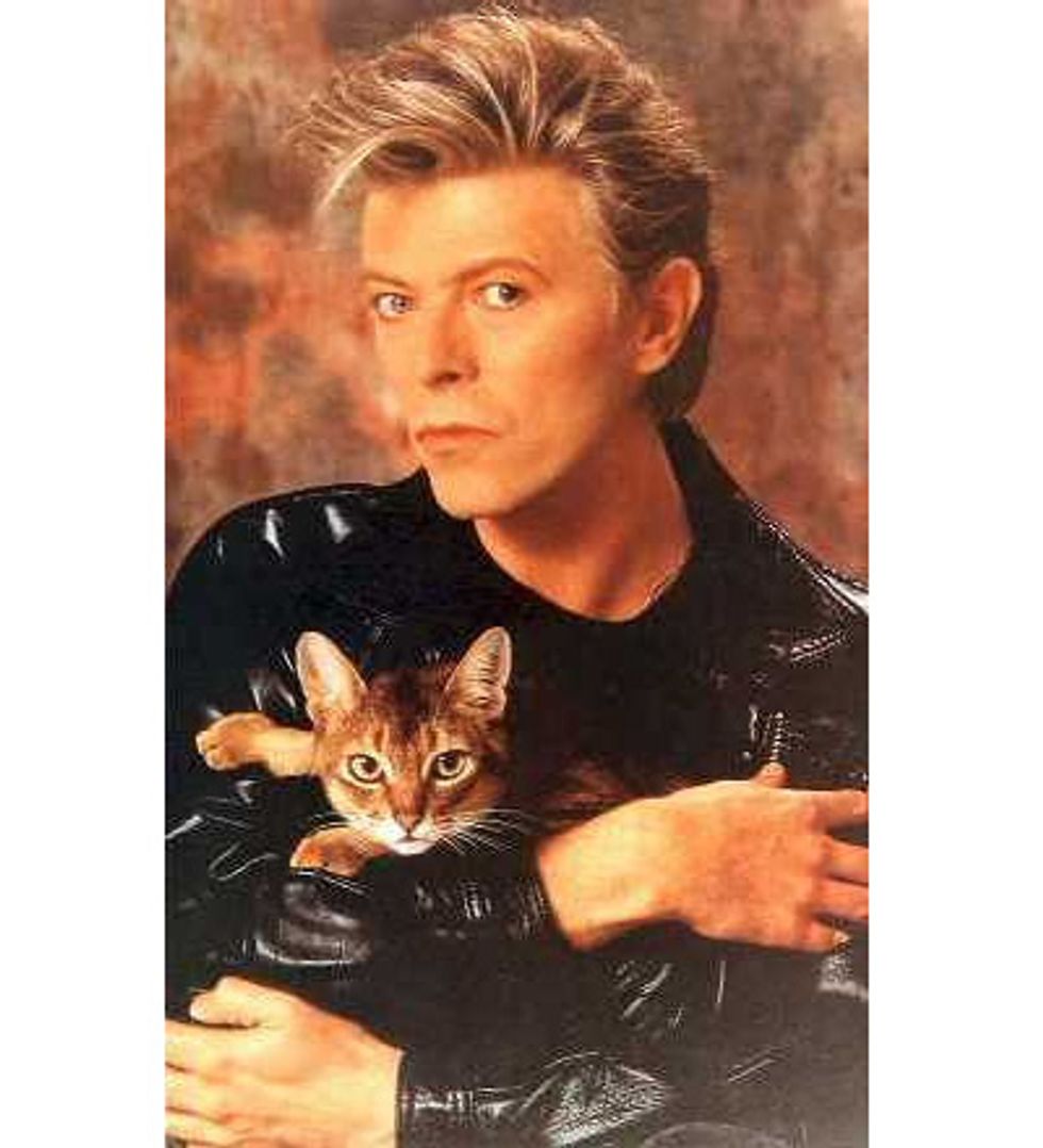 Famous People and Their Cats - Love Meow