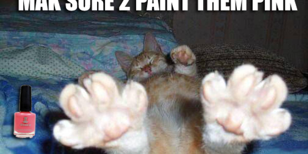 Add Lolcat Captions - Love Meow