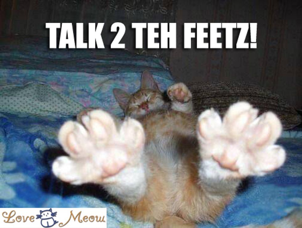 Add Lolcat Captions - Love Meow