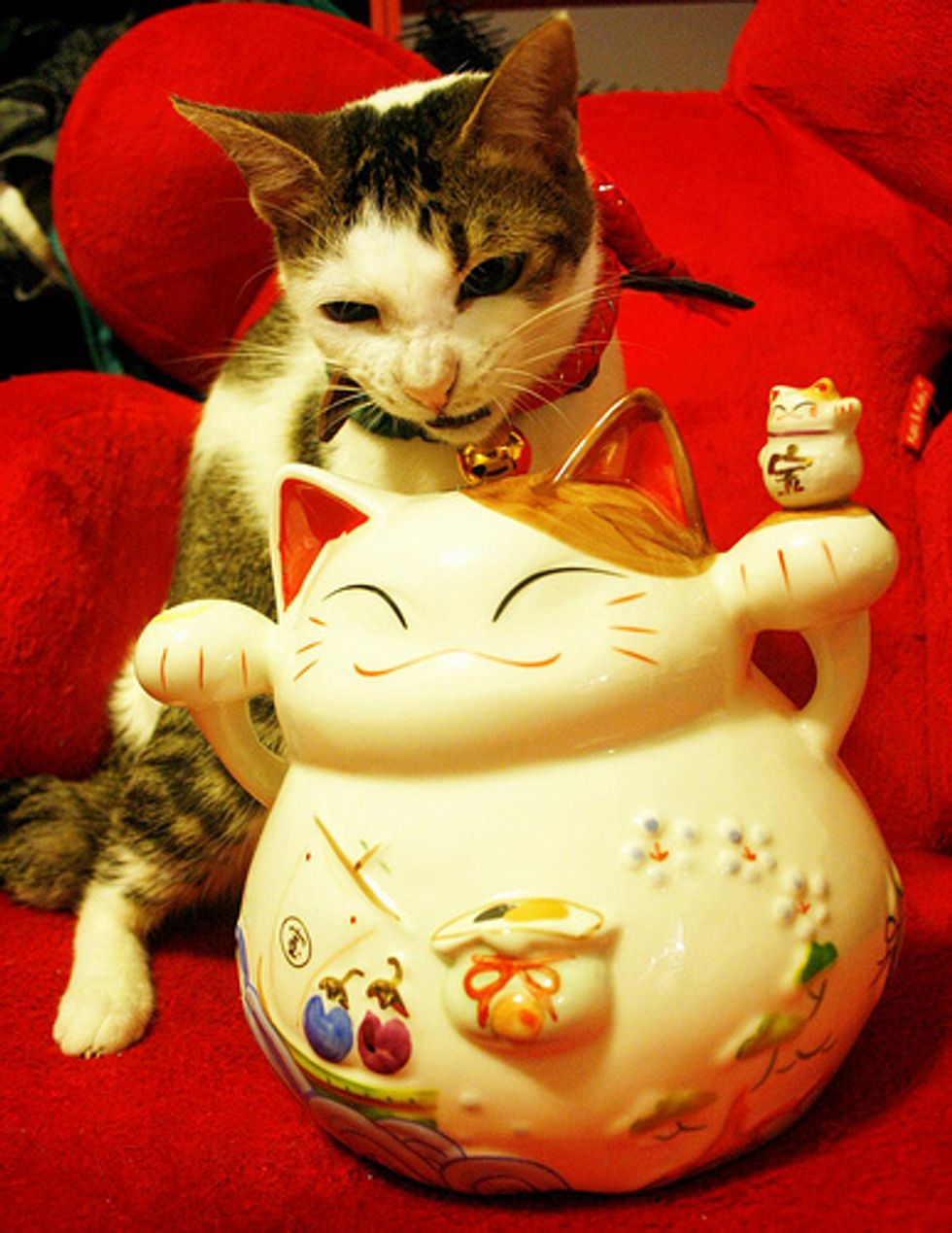 Jingle Cats - Love Meow