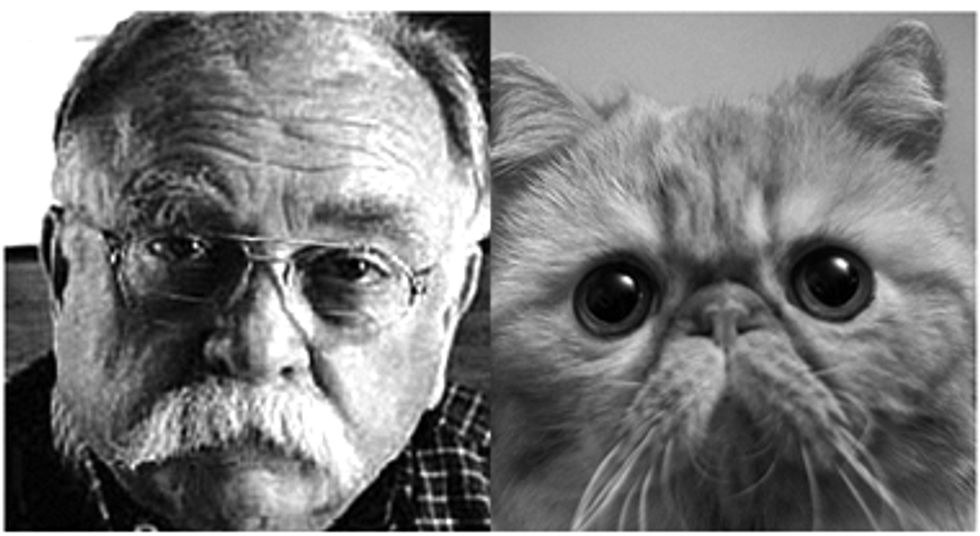 Cat Look Alikes - Love Meow