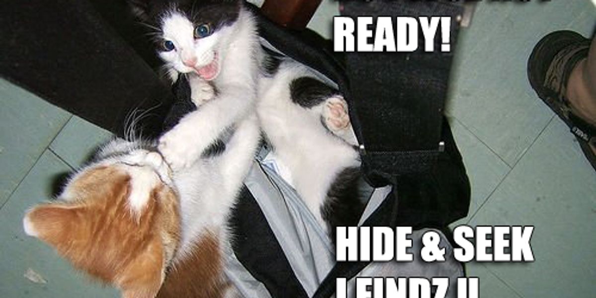 Add Lolcat Captions - Love Meow