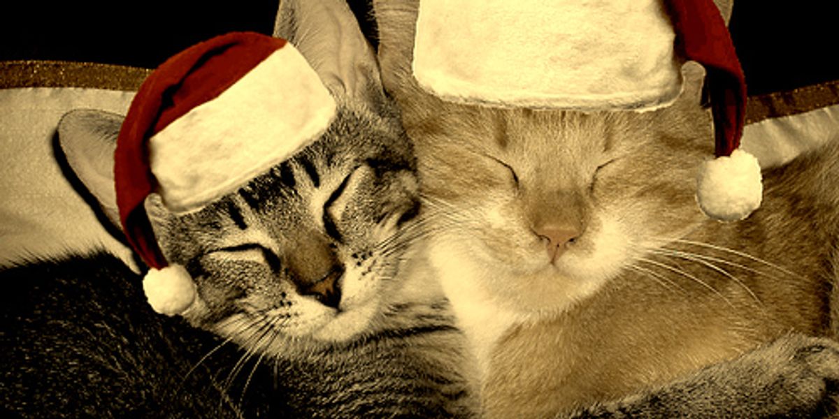 Merry Christmas Kittens and Cats - Love Meow