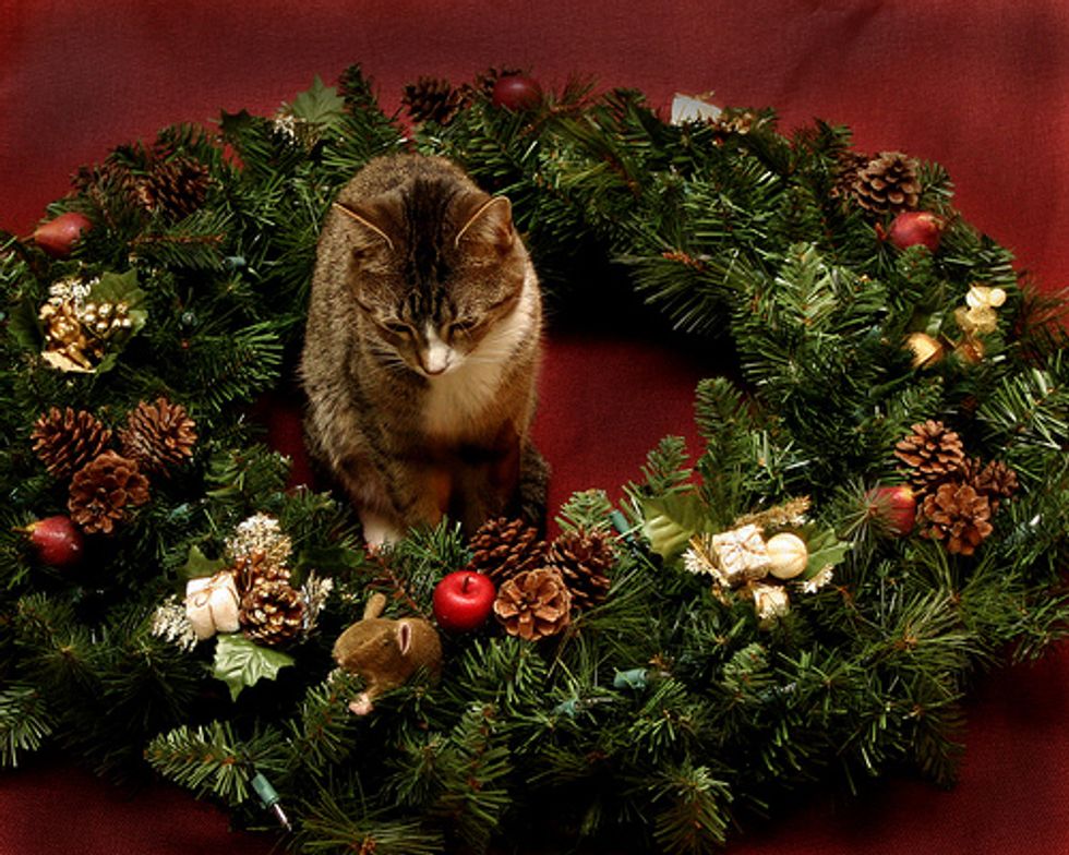 Merry Christmas Kittens and Cats - Love Meow