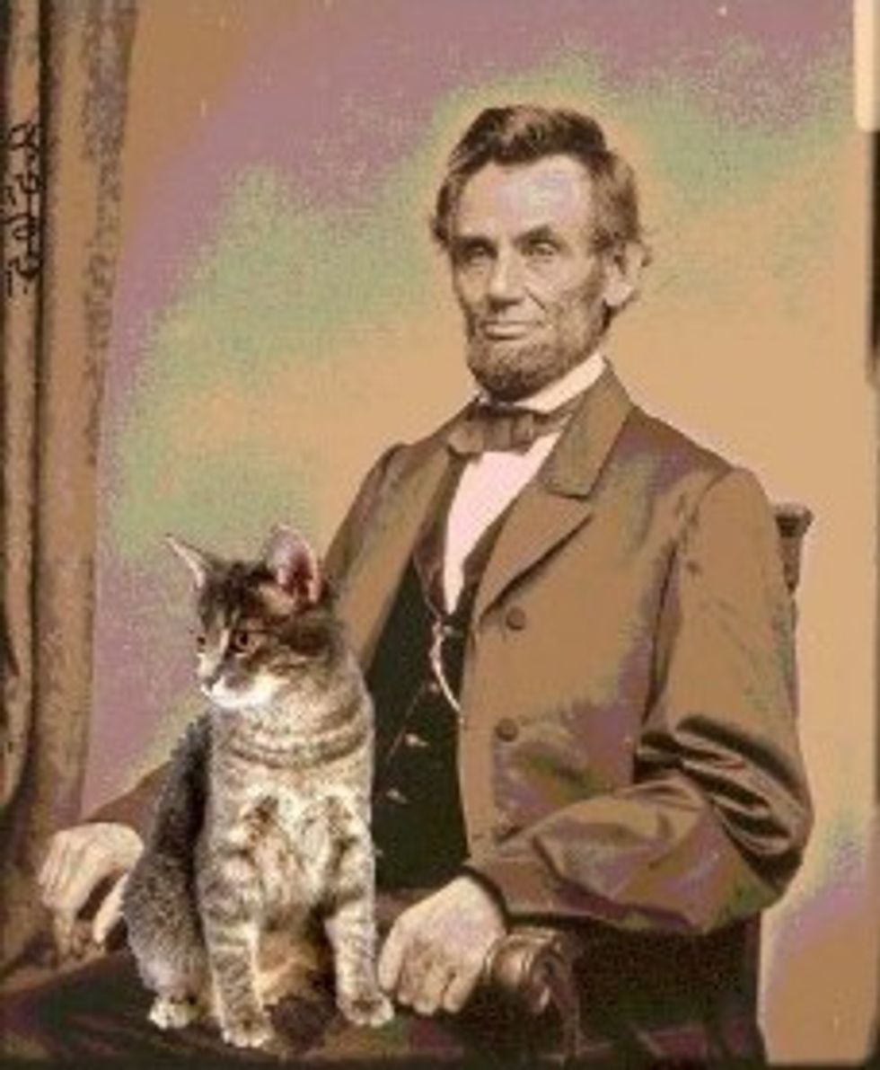 Famous White House Presidents Cats - Love Meow
