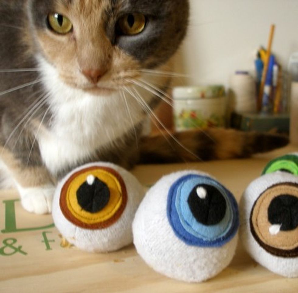 Interesting and Weird Cat Toys - Love Meow