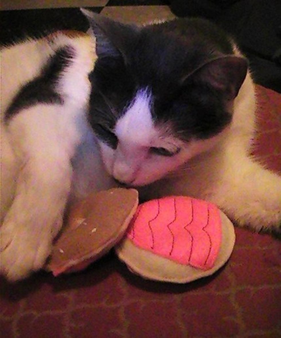 Interesting and Weird Cat Toys - Love Meow