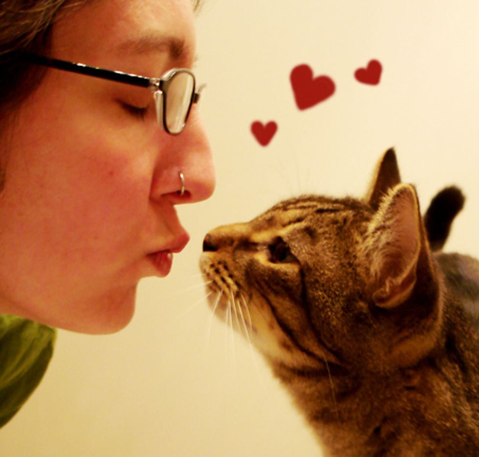Cat Kisses - Love Meow