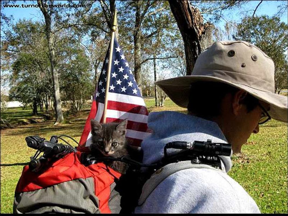 Kitty the Most Adventurous Backpacking Cat in the World - Love Meow