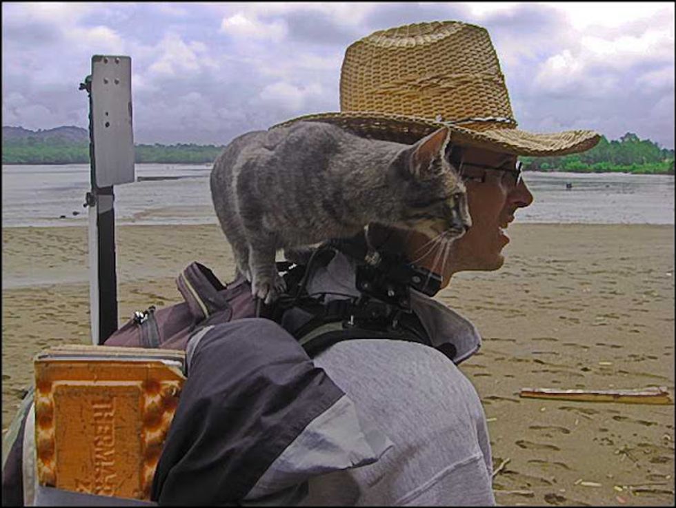 Kitty the Most Adventurous Backpacking Cat in the World - Love Meow