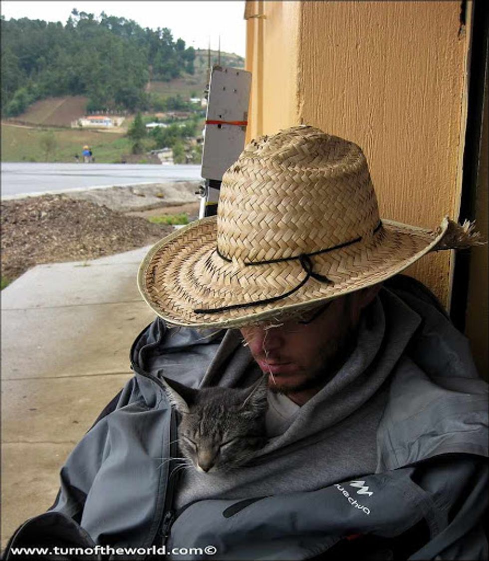 Kitty the Most Adventurous Backpacking Cat in the World - Love Meow