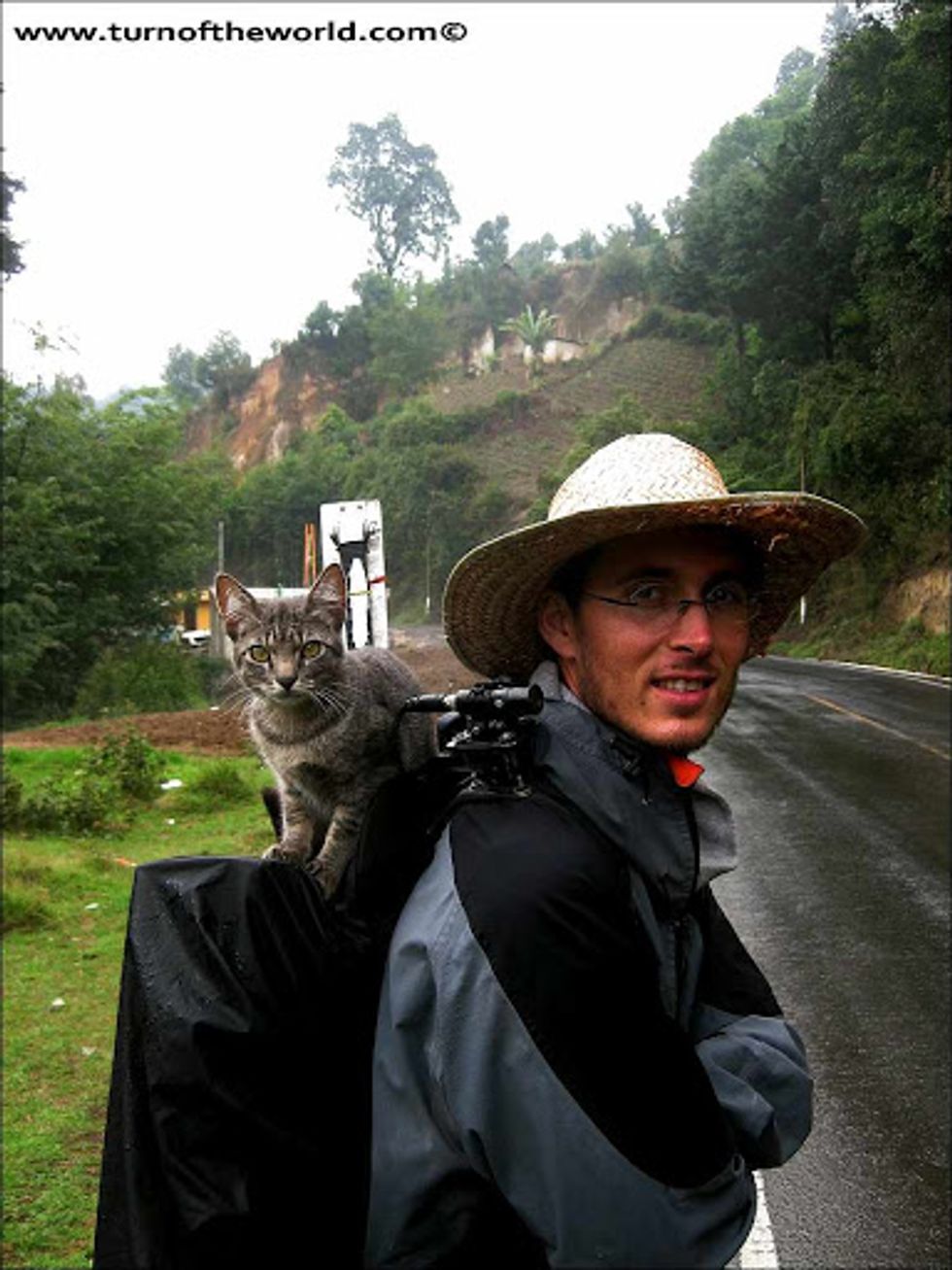 Kitty the Most Adventurous Backpacking Cat in the World - Love Meow