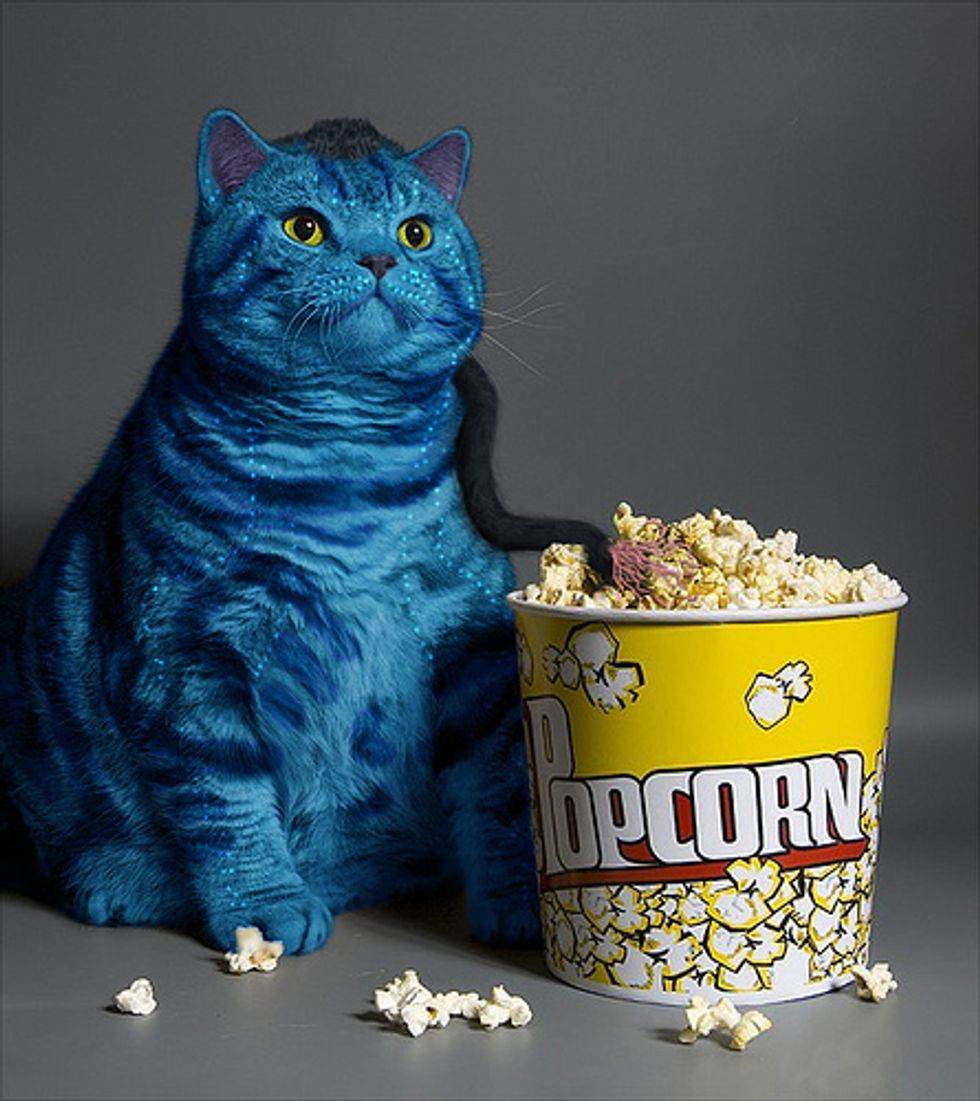 Avatar Cat - Love Meow