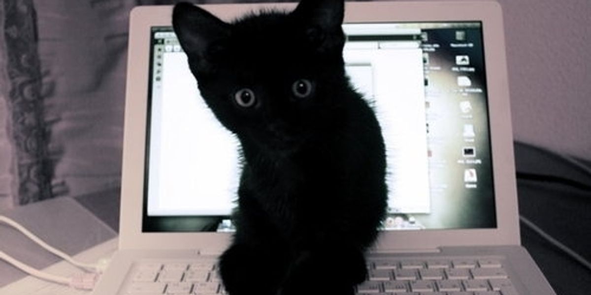 Computer Kitty - Love Meow