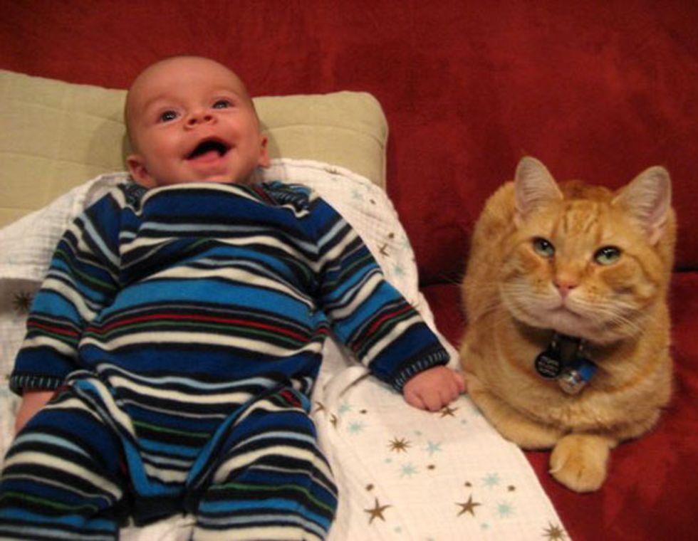 Cooper the Cat Watching Human Brother Grow - Love Meow