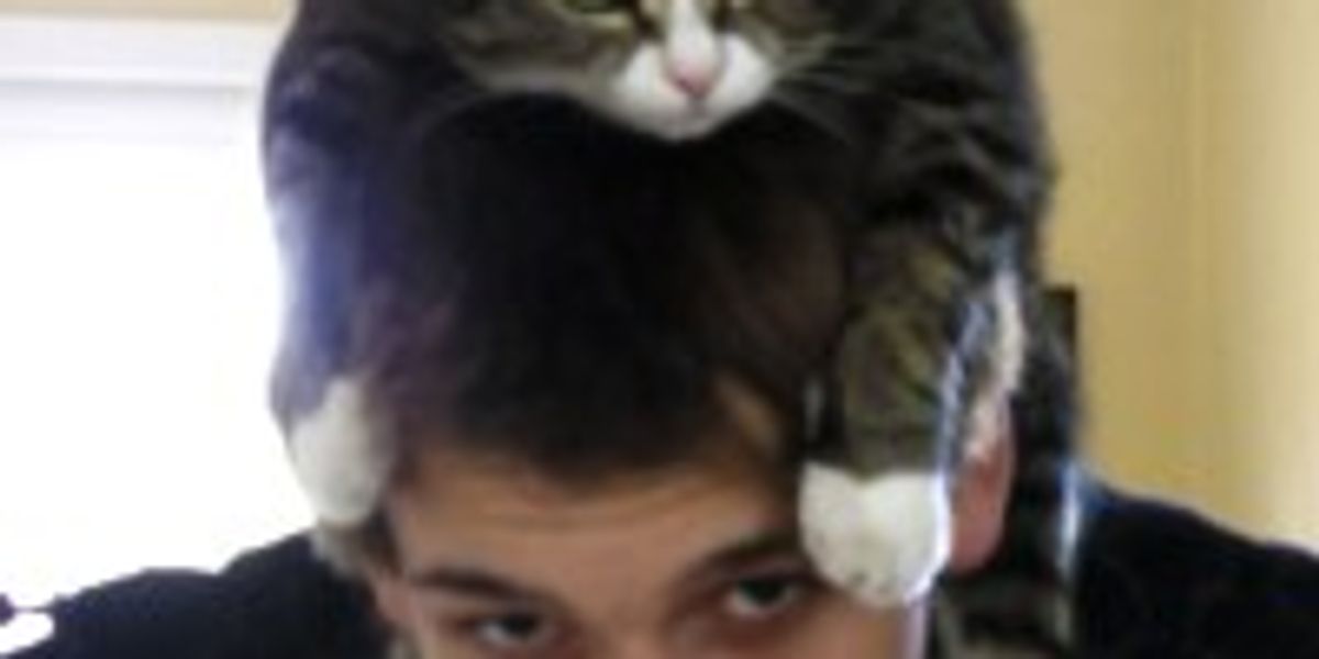 She Meows & Meows Until Her Dad Does This - Love Meow