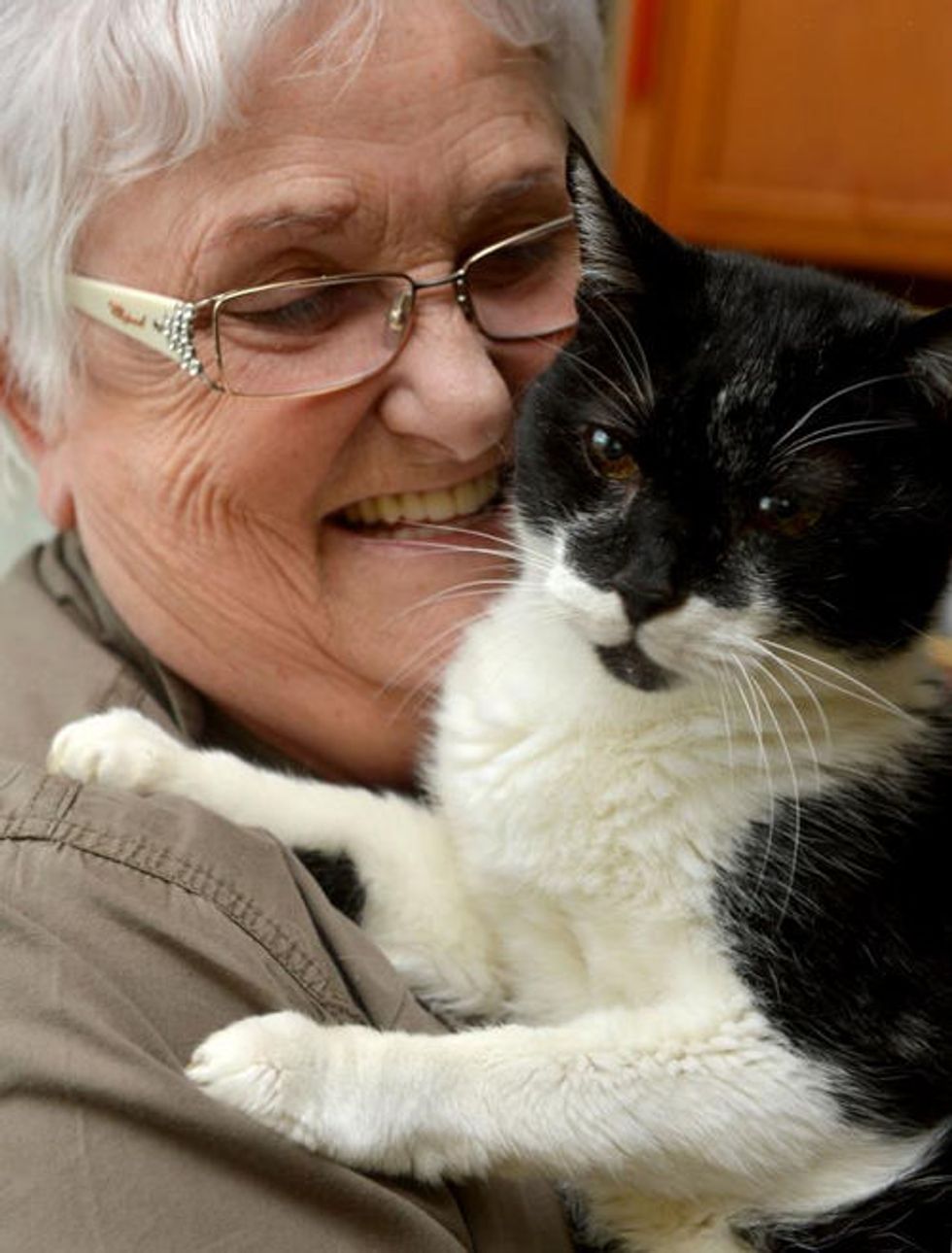 Wadsworth the Cat Turns 27, Perhaps the UK’s oldest cat - Love Meow