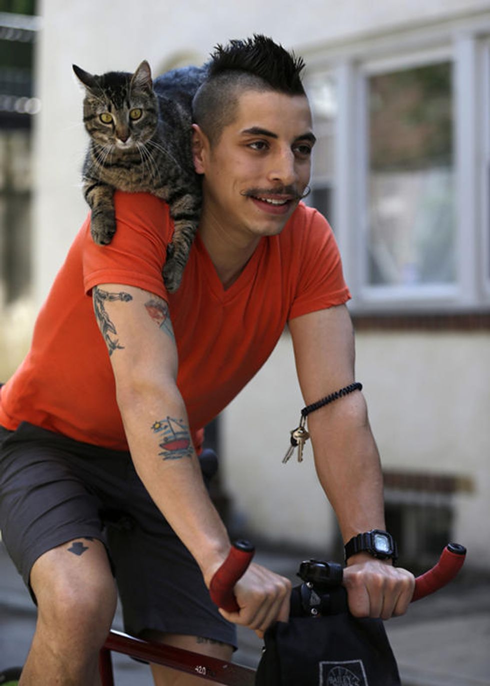 Incredible Bond Between Cat And Cyclist - Love Meow