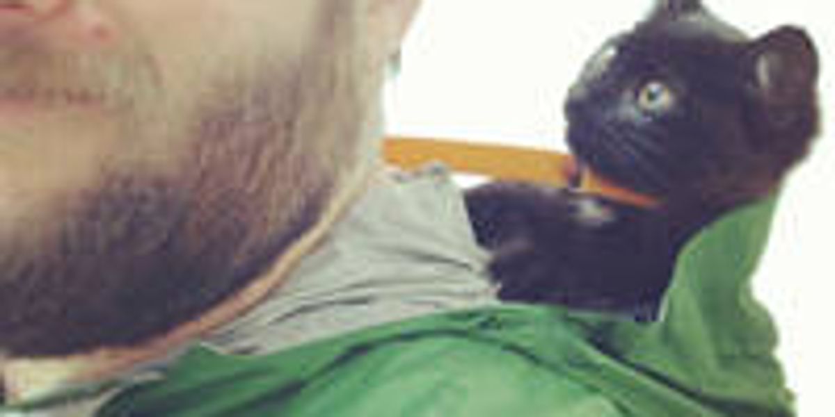 Man Saves Kitten From The Woods And Gives Him A Home - Love Meow