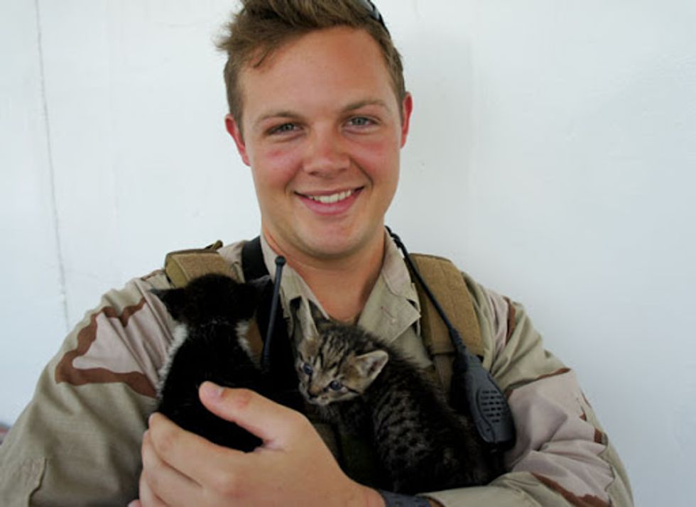 Navy Sailors Bonded with 3 Stowaway Kittens - Love Meow