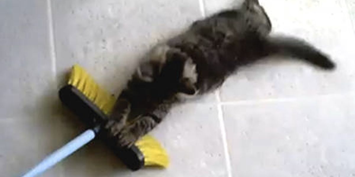 Kitty Taking a Broom Ride - Love Meow