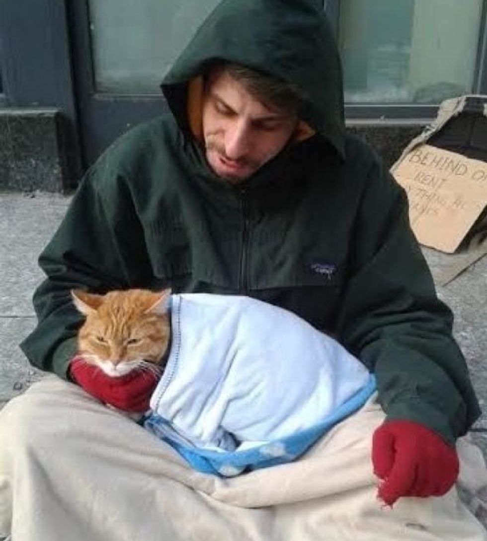 Touching Story Of The 'Subway Cat' And His Human - Love Meow