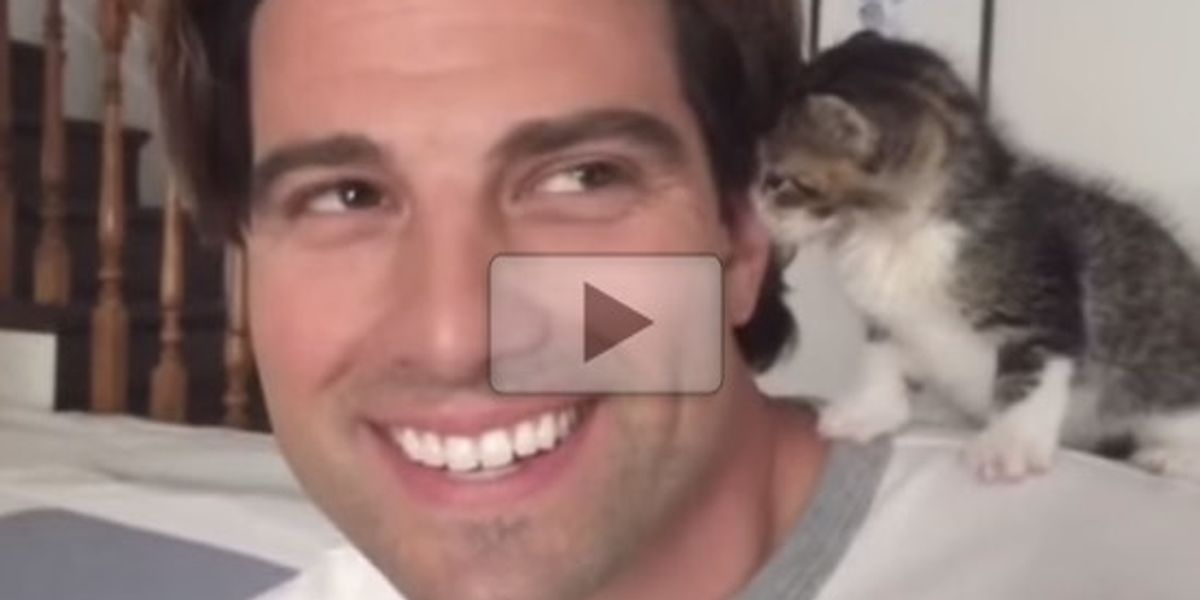 Scott Gets Intel From A Kitten (Updates On Kitten) - Love Meow