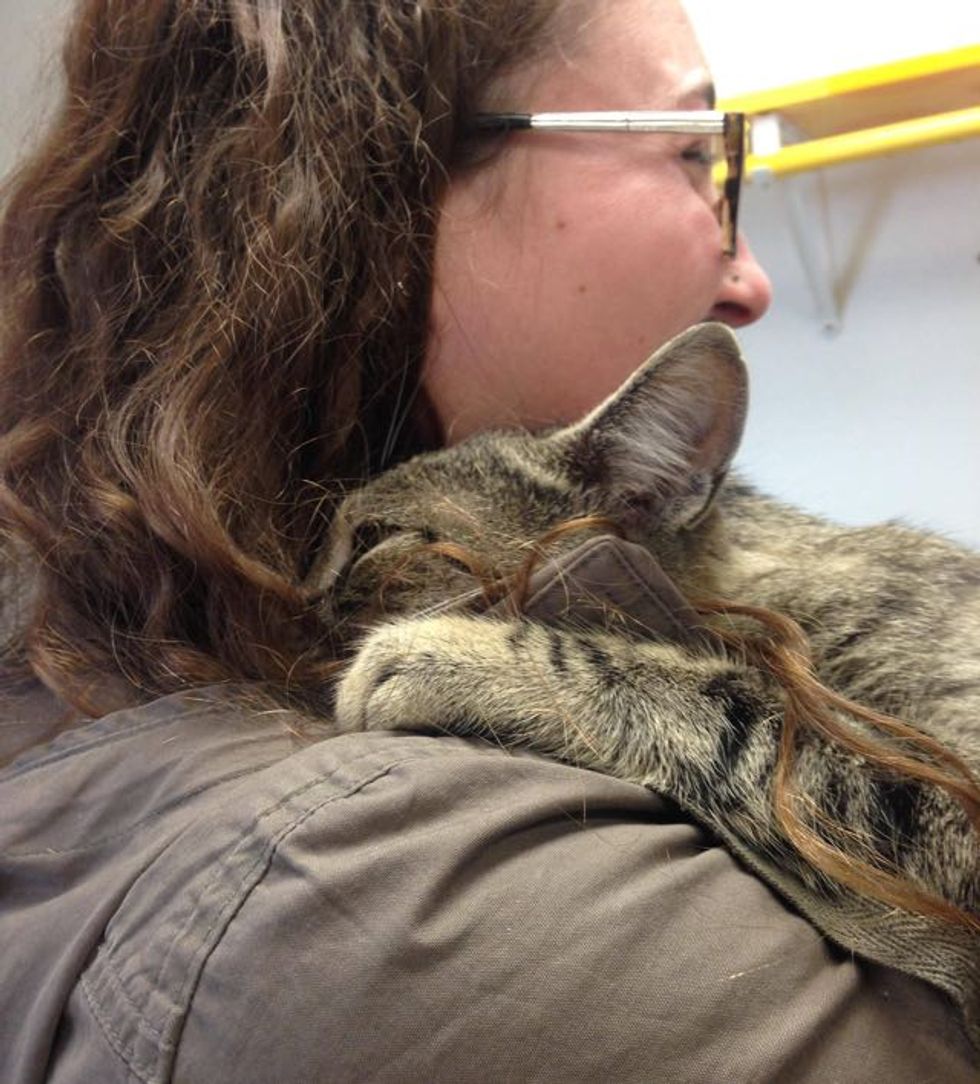 Shelter Cat Gives Volunteer the Biggest Hug and Won't Let Go... - Love Meow