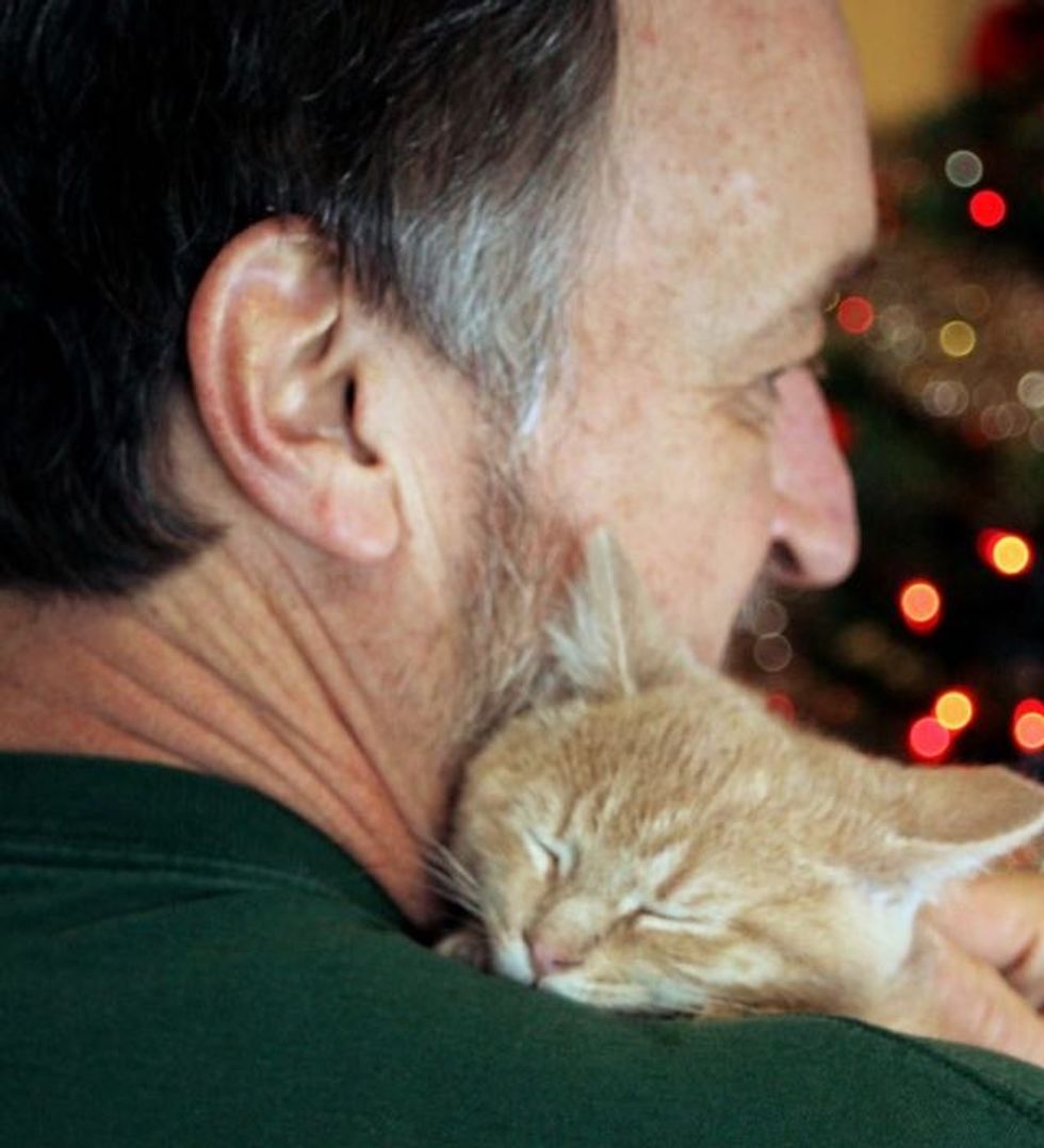 Elsa The 'Frozen' Kitten Gets Adopted! - Love Meow