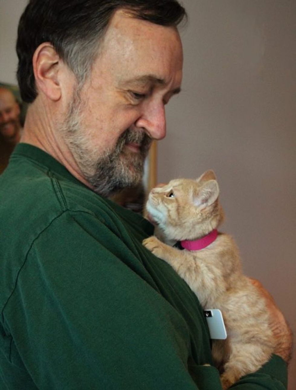 Elsa The 'Frozen' Kitten Gets Adopted! - Love Meow