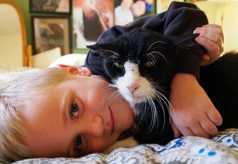 20 Year Old Cat, Dexter, Finds New Home And Has So Much Love To Give ...