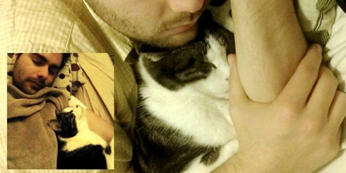 Cat Finds Human Dad and Naps with Him No Matter Where He Falls Asleep ...
