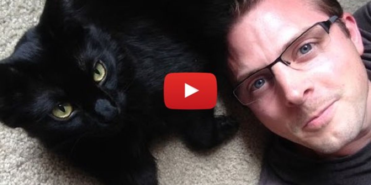 10 Signs You're a Crazy Cat Person! - Love Meow