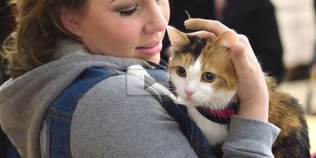 Emotional Reunion! Cleo the Calico Cat Reunited with Her Mom After Six ...