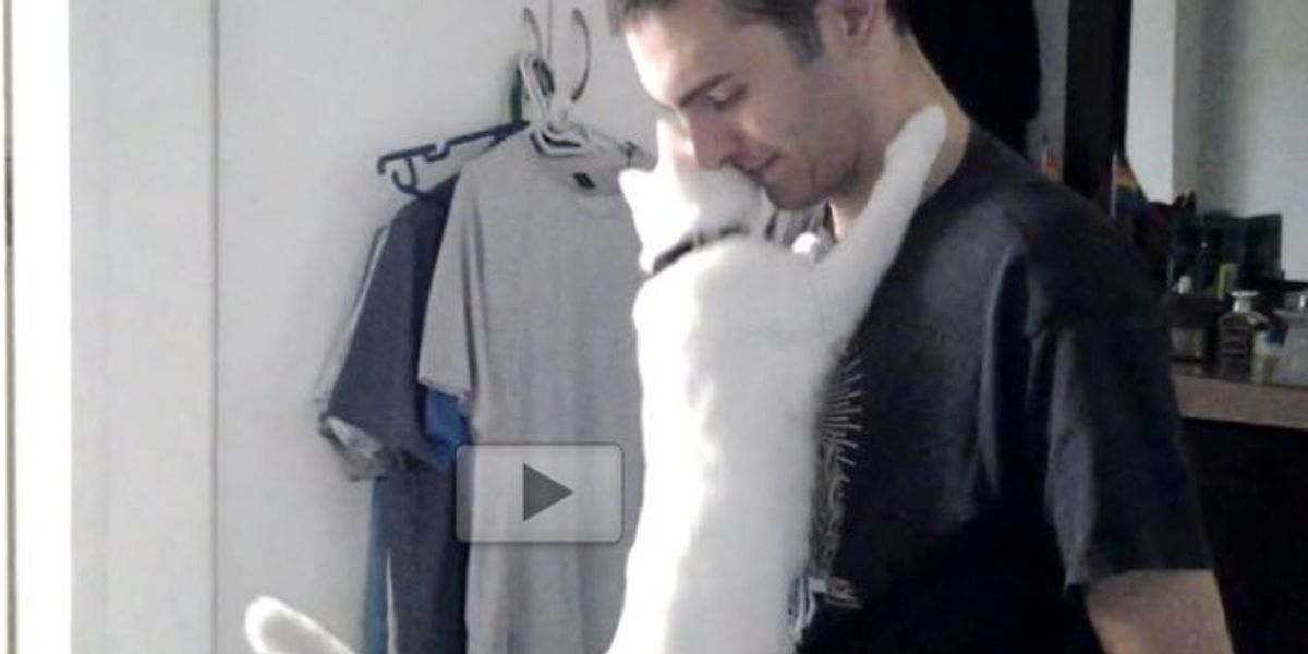 This Cat is So Affectionate. He Cant' Stop Hugging His Human - Love Meow