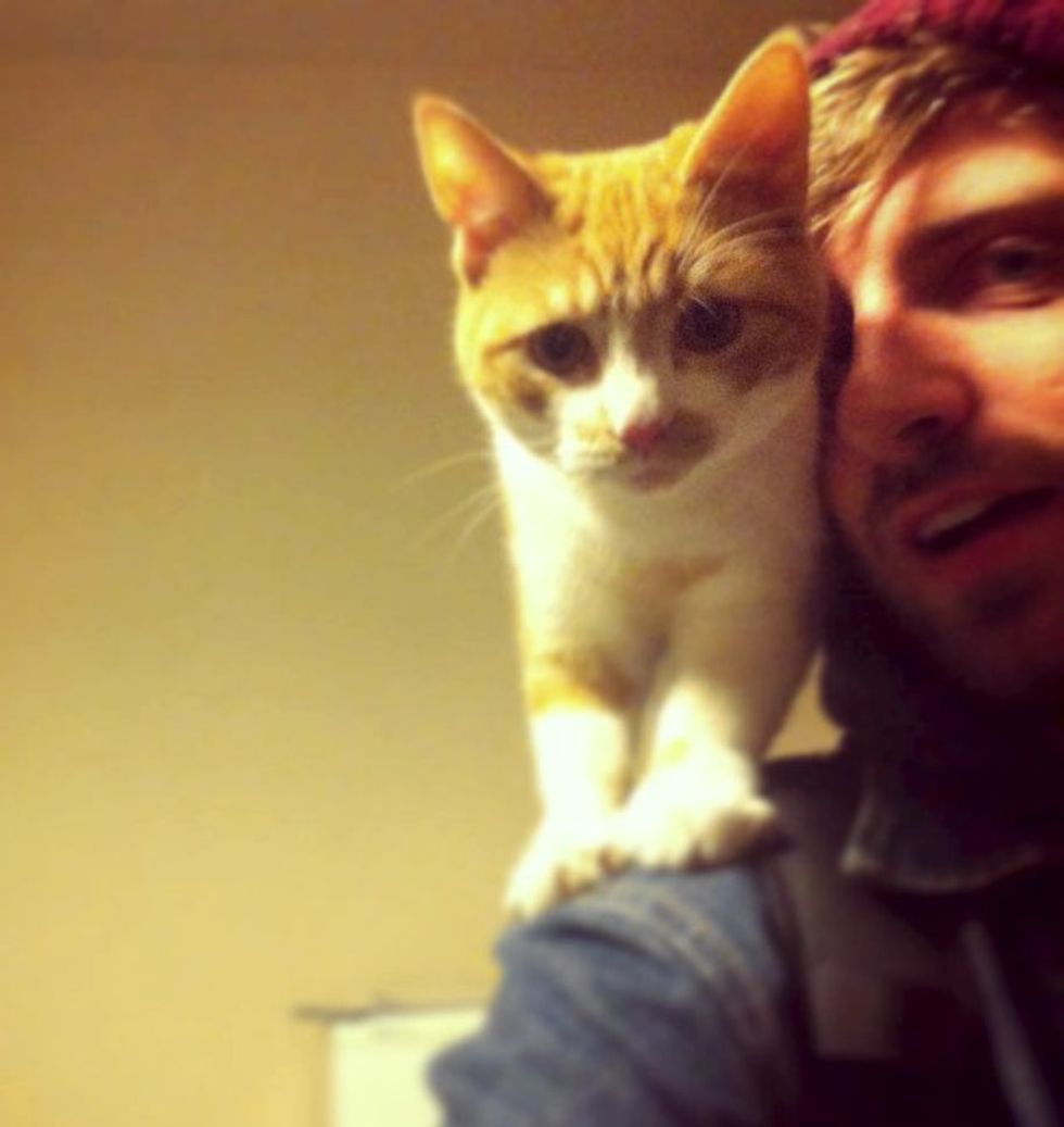 Man Saves Abandoned Kitten Who Cuddles Up to Him Asking for Love ...