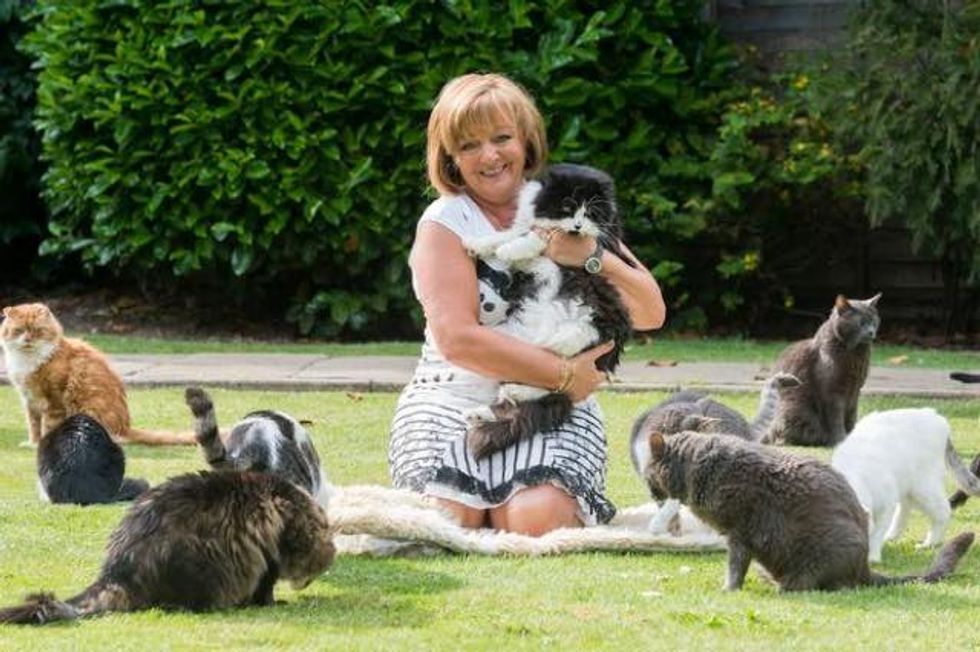 Woman Spends £90,000 a Year Caring for Abandoned Cats. Her Husband ...