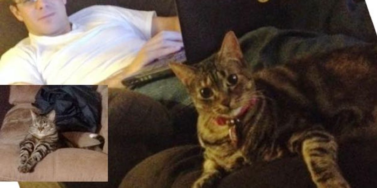 Disabled Veteran Rescues Cat Who Rescues Him Too - Love Meow