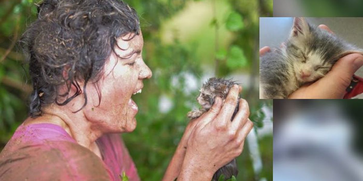 Rescuer Went to Heroic Lengths to Save Kitten from Drain Pipe as Water ...
