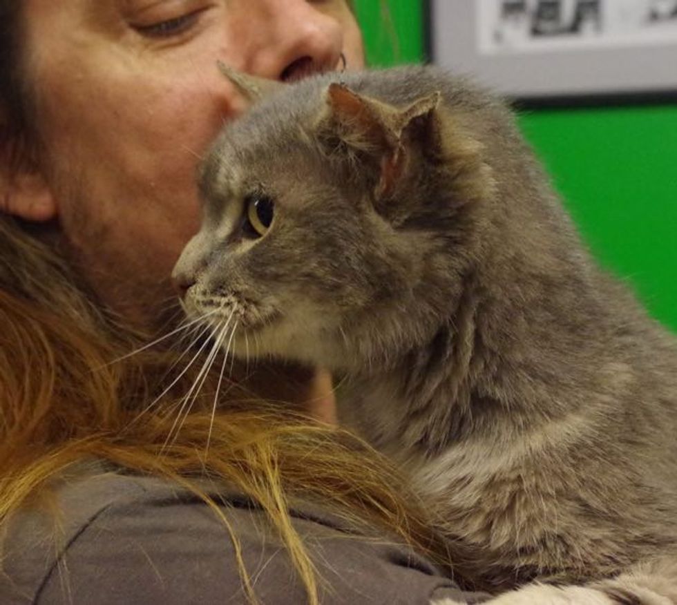 Rescue Cat with Three Ears Has More to Love - Love Meow