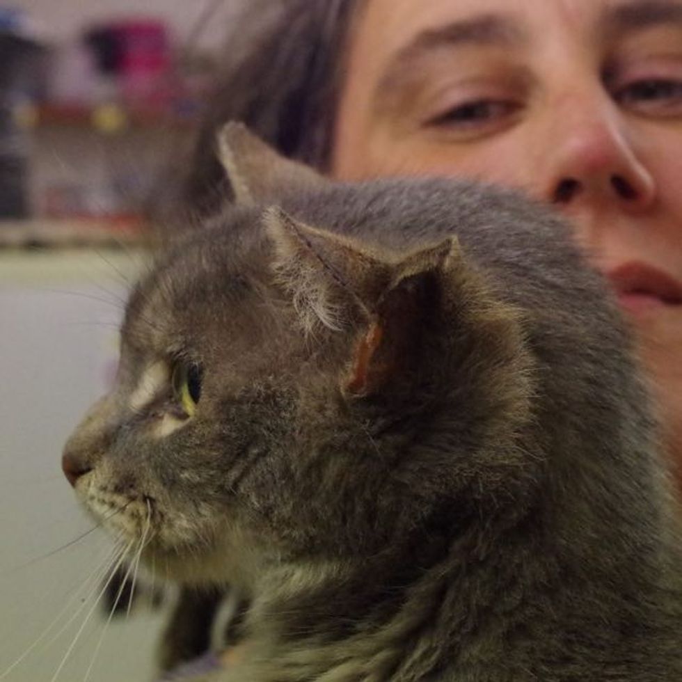 Rescue Cat with Three Ears Has More to Love - Love Meow